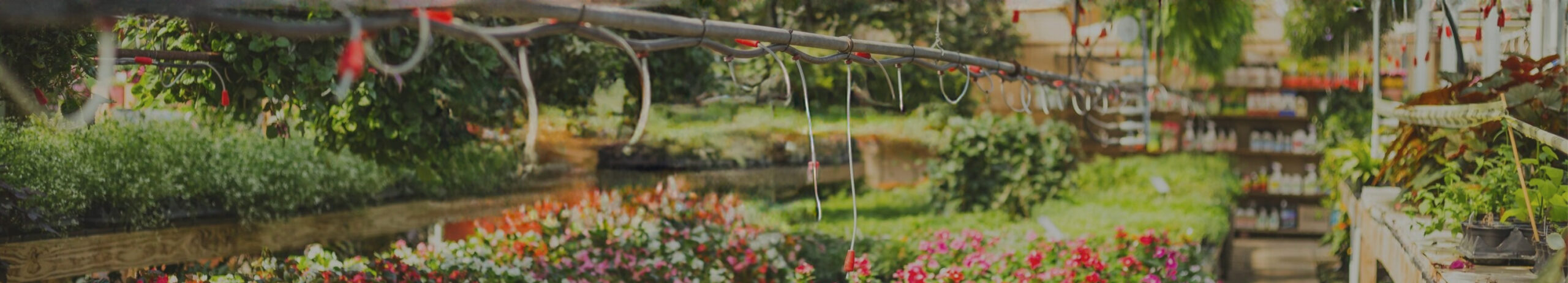 Distributor - Gro Group